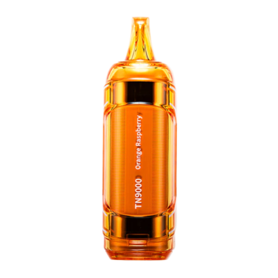 Blue Raz Ice RAZ TN9000 Disposable - Raz Vape