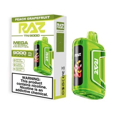 Blue Raz Ice RAZ TN9000 Disposable - Raz Vape