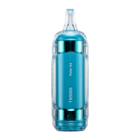 Tobacco RAZ TN9000 Disposable - Raz Vape